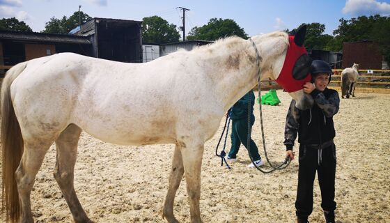 Welcome to Harmood School